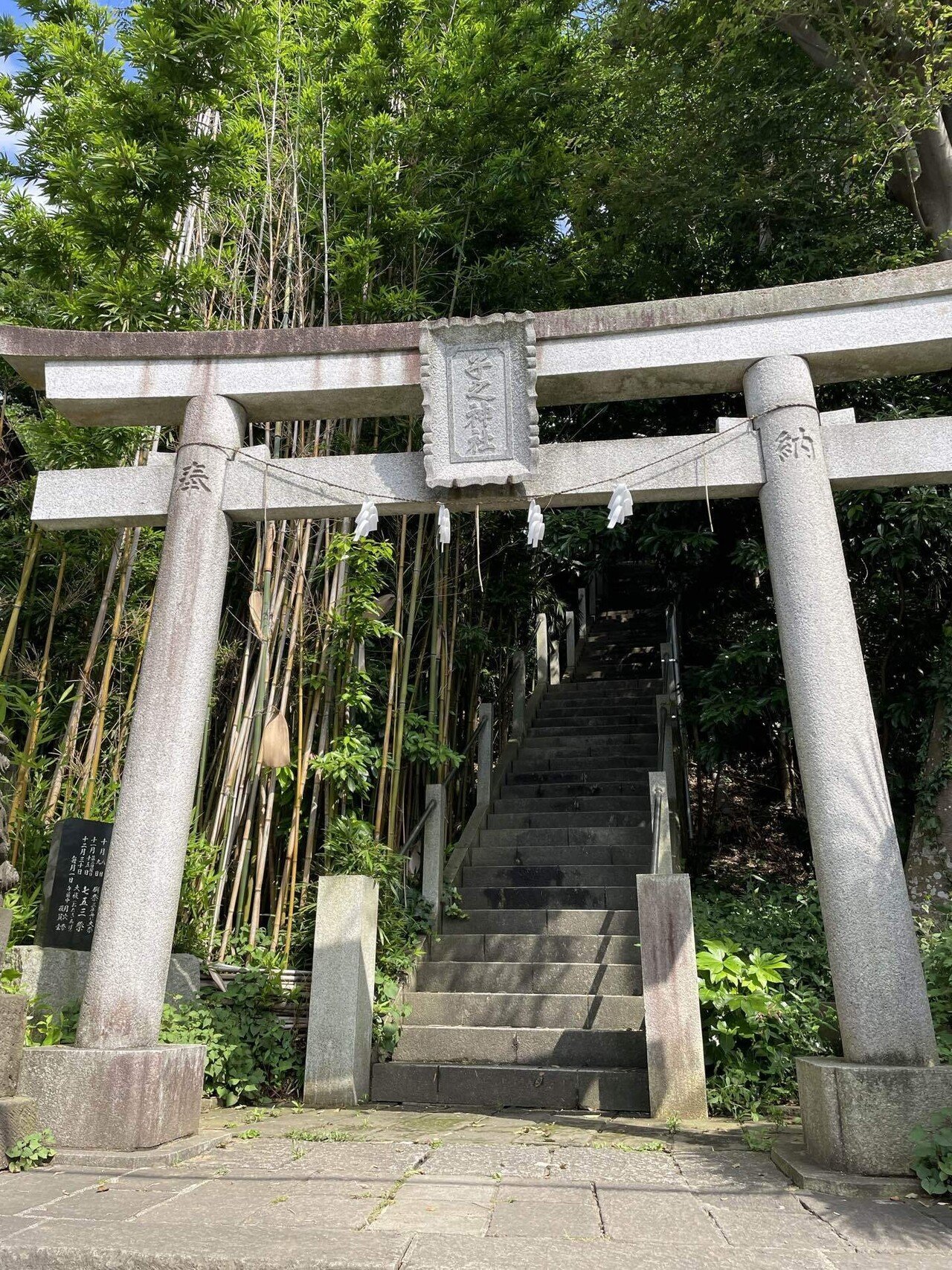 ⭕️9/21.22は市川学園の文化祭、なずな祭です。 チケットがいるようです。 https://ichigaku.ac.jp/news ...