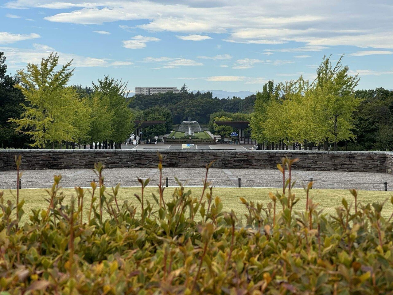 2024.9.20 I'm home. 〜iPhone15pro〜｜zain.maeda