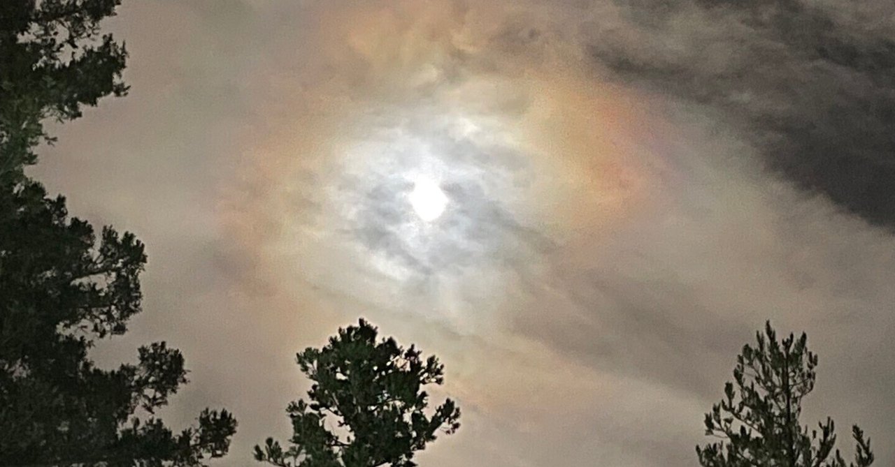 破天荒な親を持った熱血ママが「過剰」から楽になれたワケ｜yasugo