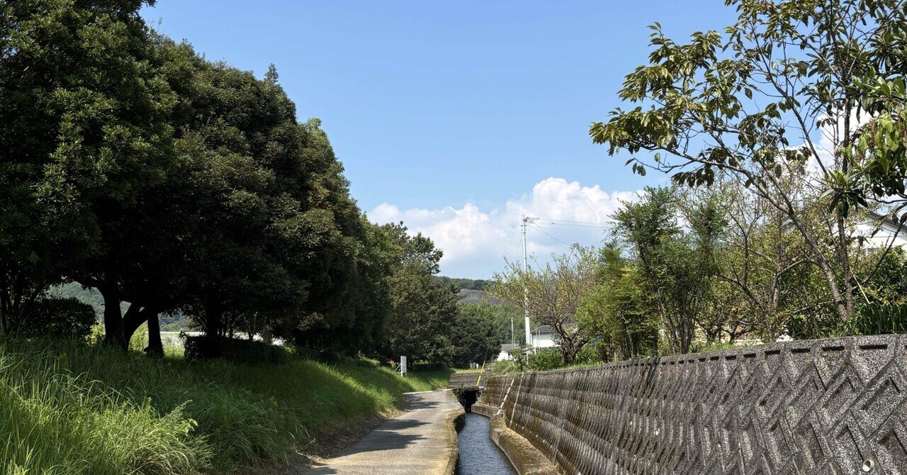 【個人誘致】｜Pon Tana