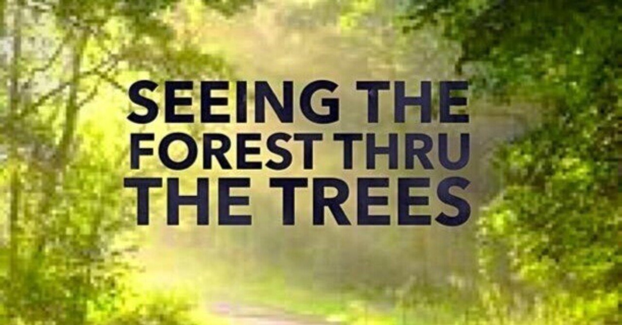 樹も森もみよう！ One step at a time｜Azuki