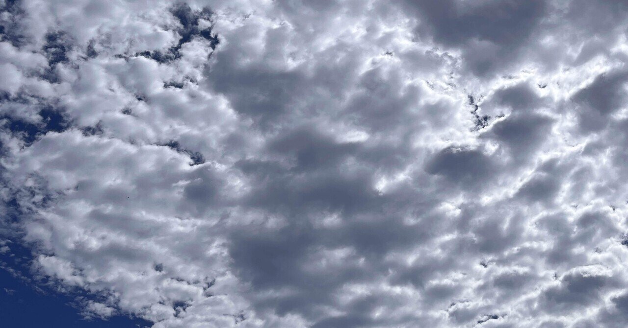 休講週｜Yuko Kinoshita