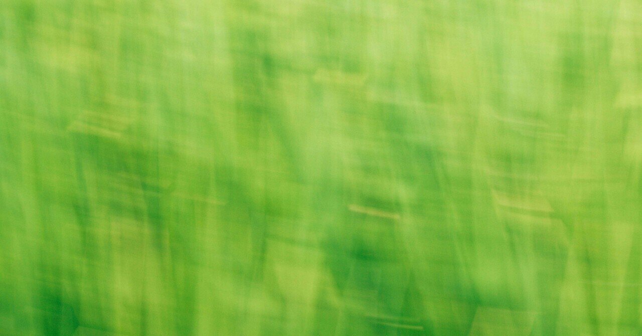 〝直感〝｜umitora