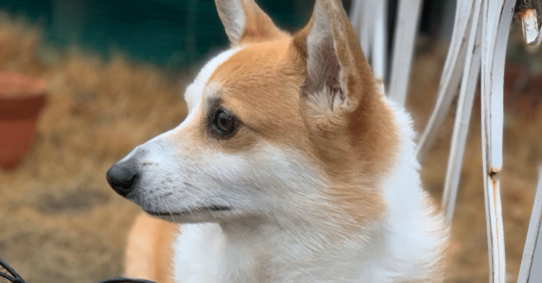 John Watson の日記 ️📖｜Café de John｜note