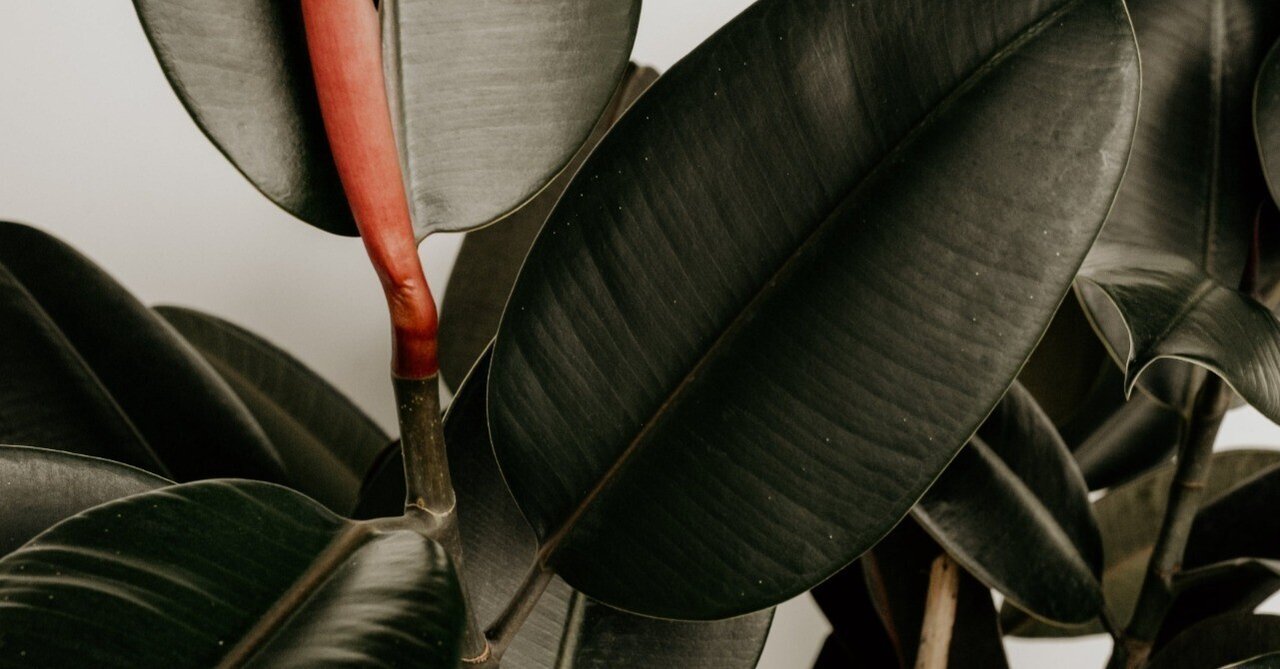 NOTEで稼げない!? 9つの落とし穴とマネタイズ失敗の理由｜Shun Takaki | Traveler