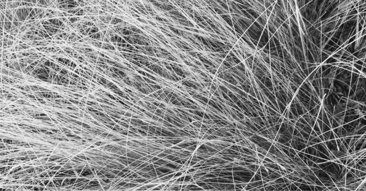 SNS運用の成功事例｜小さな企業が成長するためのヒント｜【 School 】 SNS Meister Program