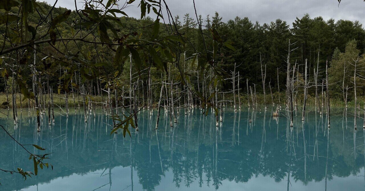 キャンピングカーの旅 富良野、美瑛 20240921(車中泊42泊目)｜hiroaki maejima