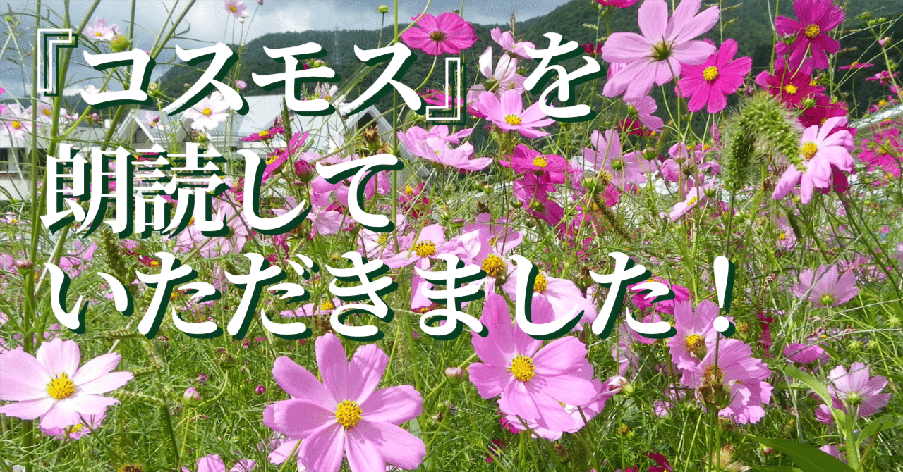 koichi_takizawa｜note