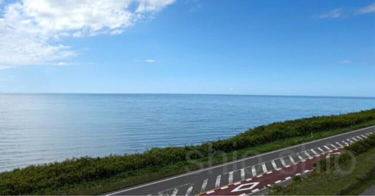 ぬるいコーラ｜shio shio