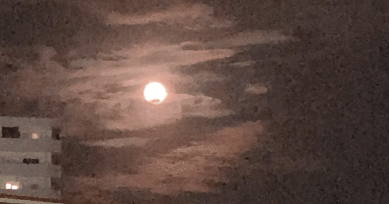 週刊shibumy 第五号｜渋味観