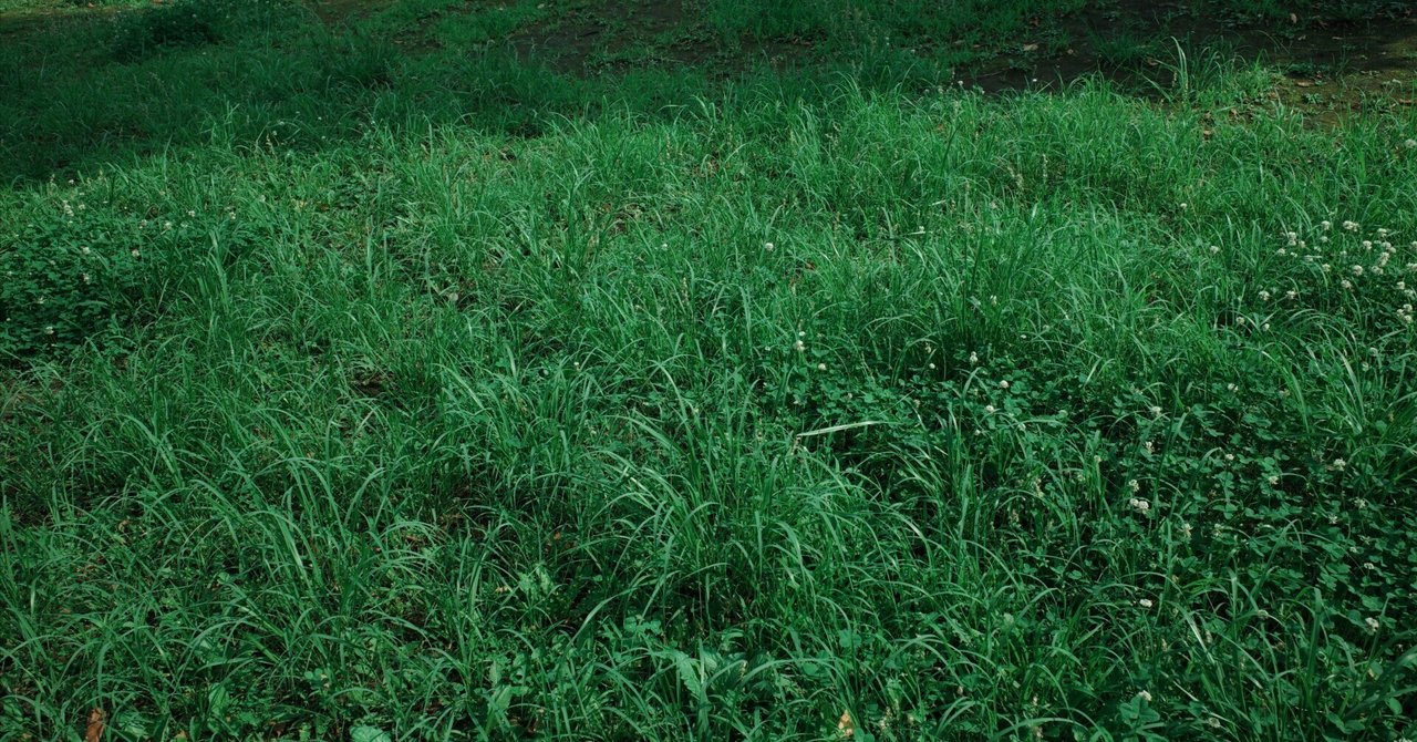 01 : 団体の解散宣言 _ 9/22｜Haruna Sano