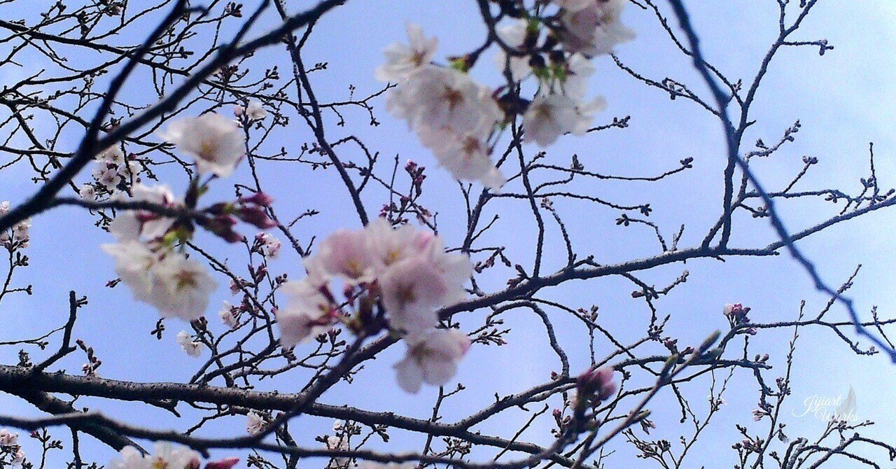 0925｜HOLGA DIGITAL ｜Jijiart