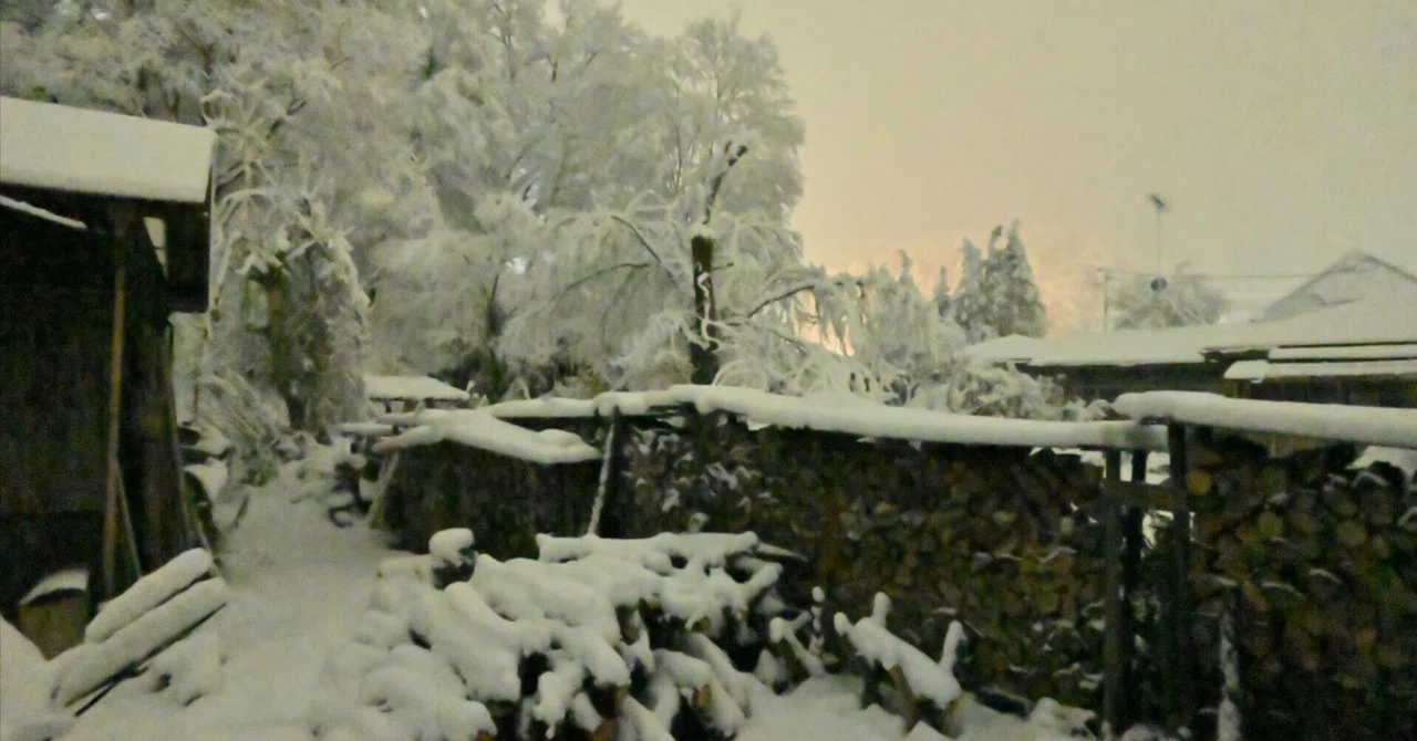 2024年1月、2月、雪の日。｜Moccasin Telegraph