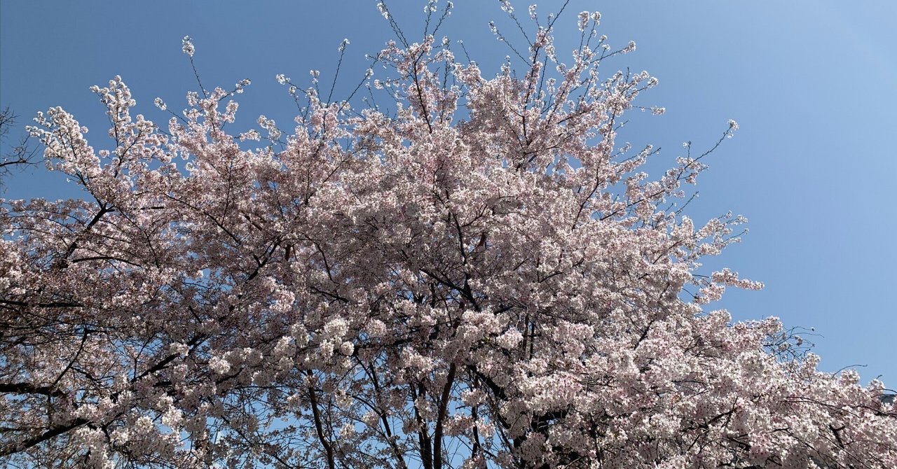 親から見たN中等部・N高等学校①｜上埜洋平（Yohei Ueno）