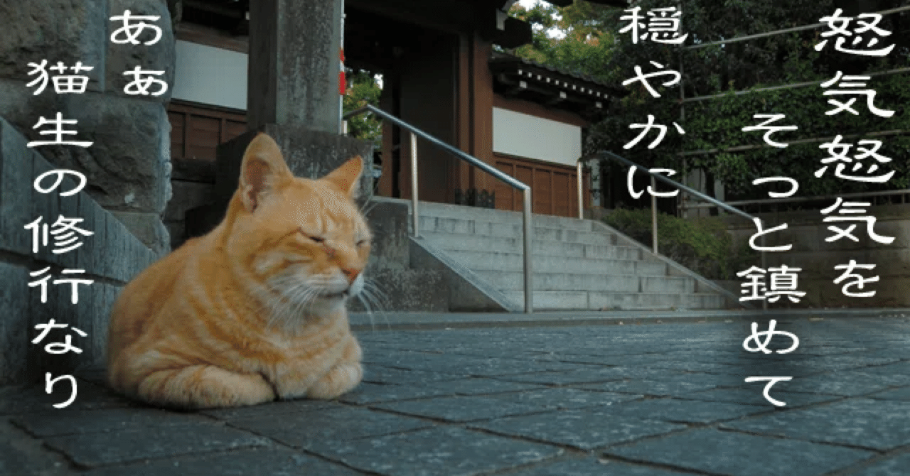 気づき⭐️焦りは禁物｜Sawa