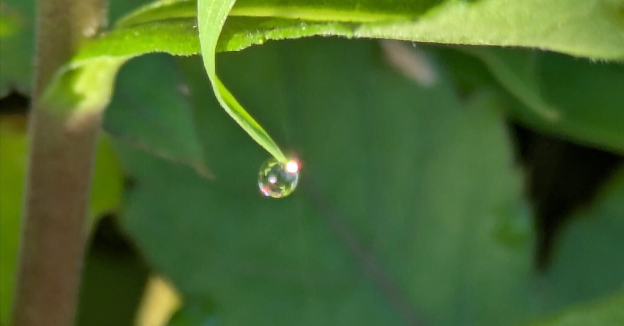 泣いて笑って驚いたショート動画｜ichiro70