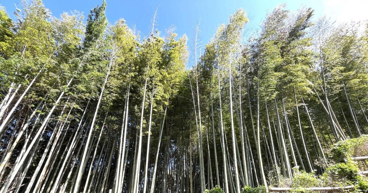 「超逆年の差カップルのリセットライフ」～福岡ライフ～💛注目パワースポット＠神在神社！⛩️｜Mirai