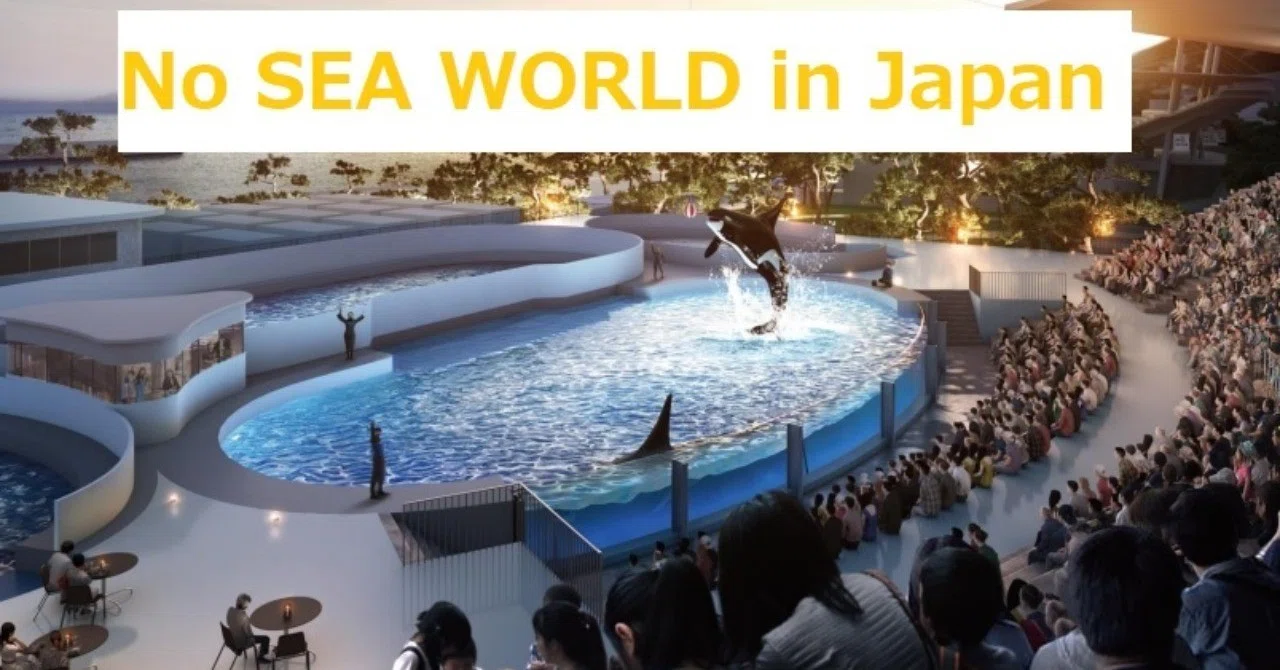 シャチが主役の”SUMA SEAWORLD”が建設される｜kobe_taro