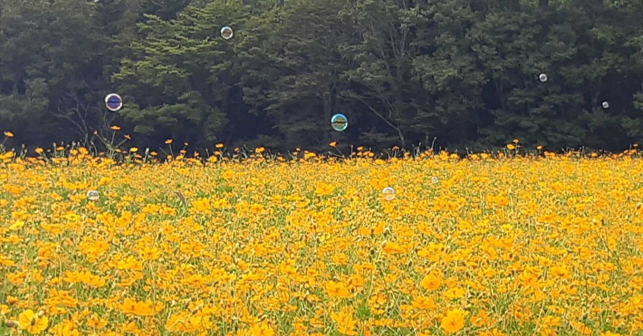 心の揺らぎを認める｜虹の彼方から Bright day EIKO