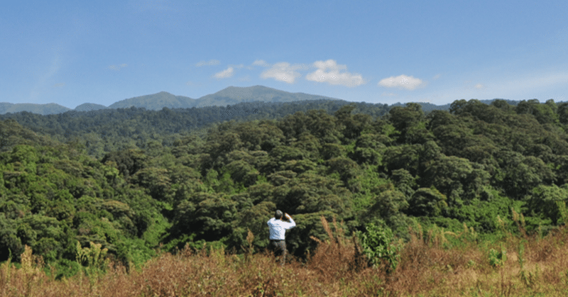 TOPPAN Digital｜DX note