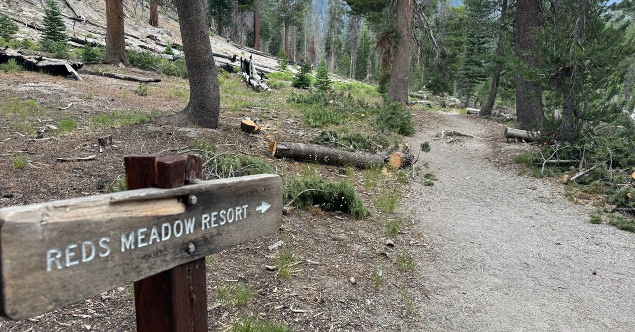 Reds Meadowへ｜aki