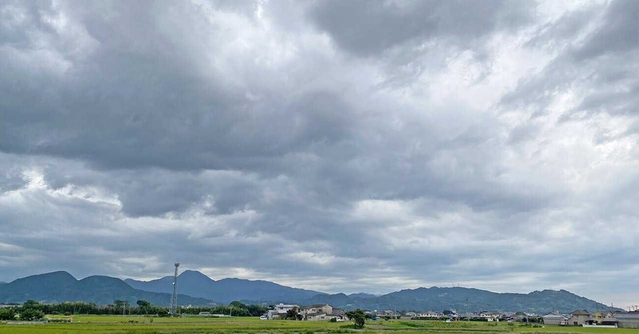 単なる近況｜23（PepperBox）