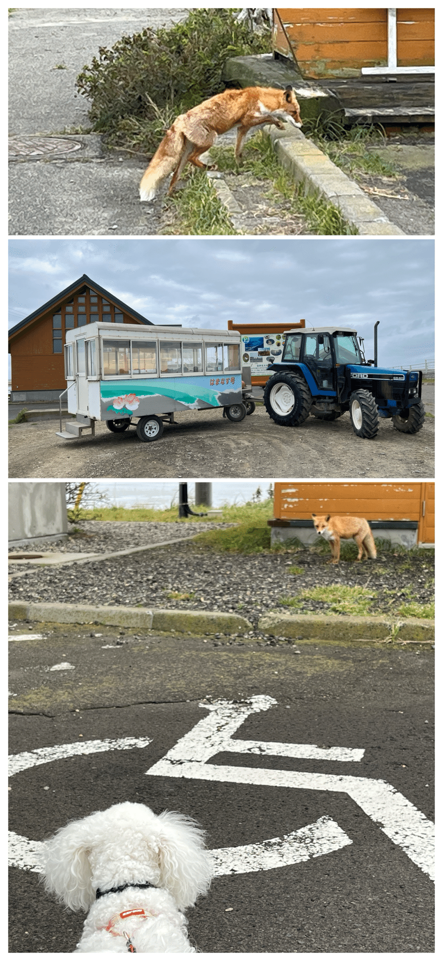 20240926 納沙布岬など｜hiroaki maejima