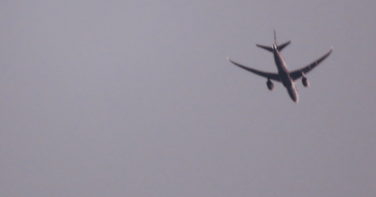 WEB開発で遭遇した先祖返りの体験談｜Mizeee