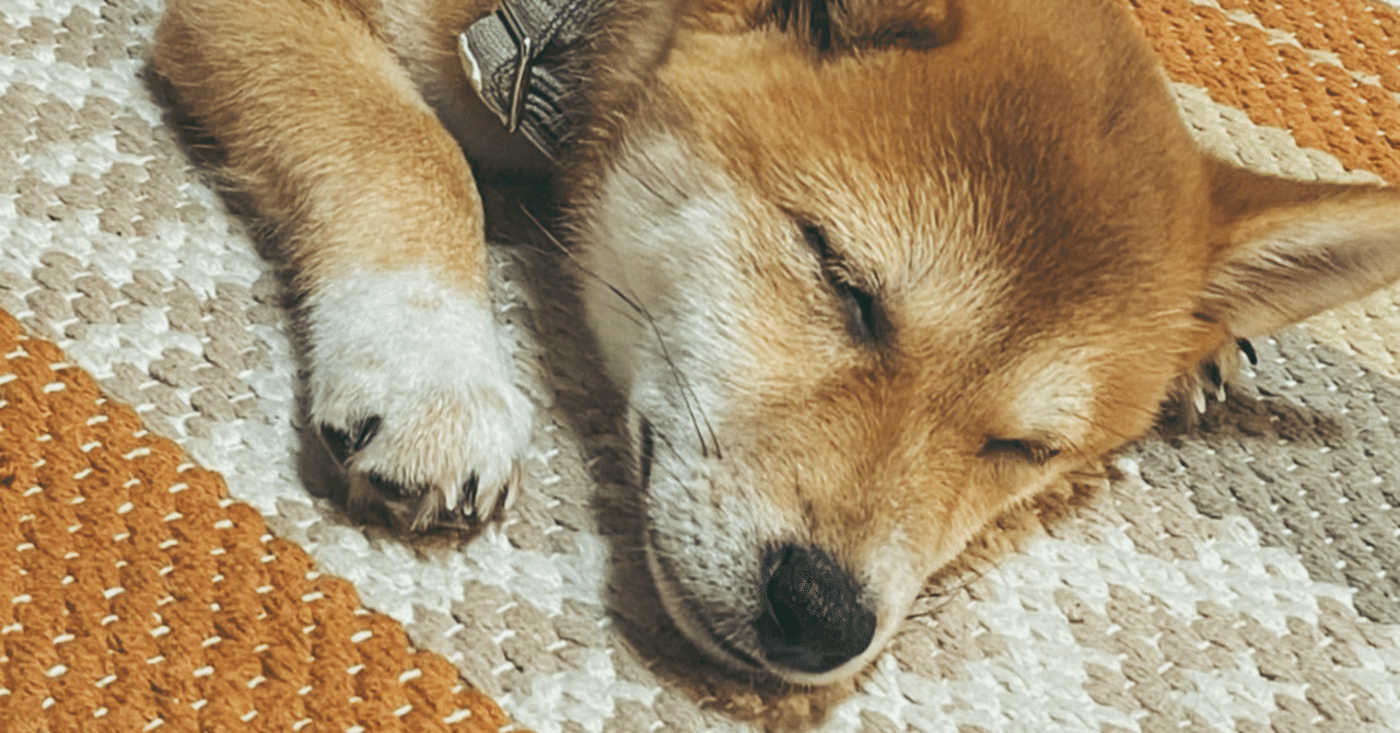 【ボヤ記】没入感がストレス発散になる｜723nk