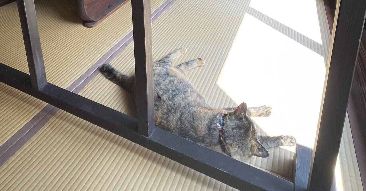 変わりゆく暮らし、変わらぬ心地よさ｜ねみ