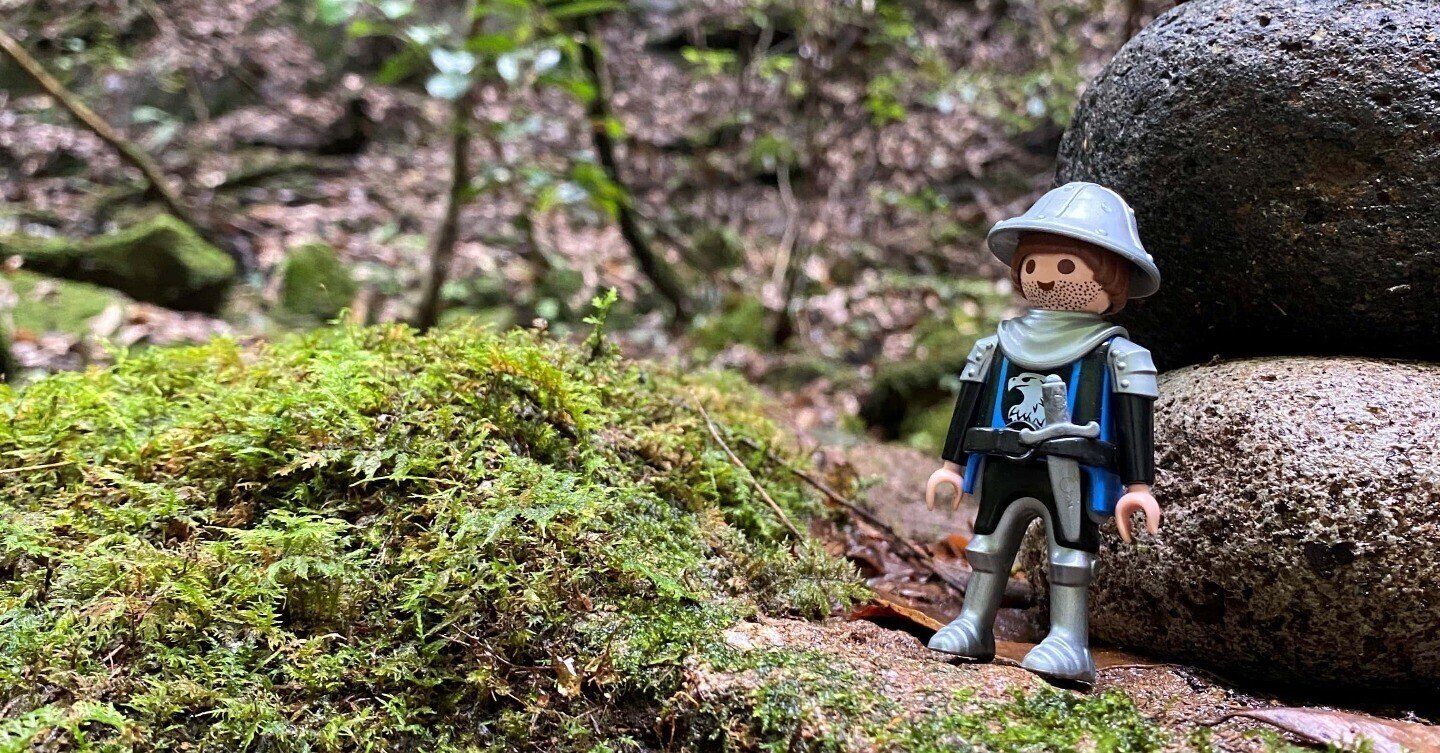 ★PAP☆Playmobil Authentic Play｜note