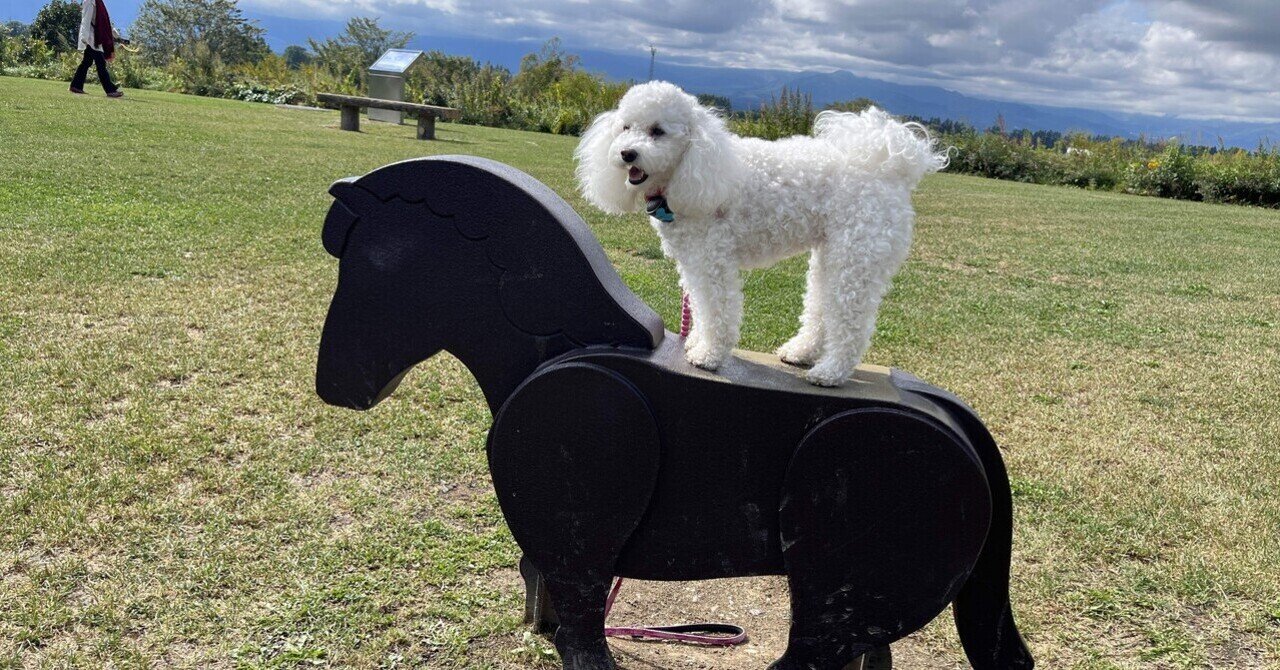 20240927 北海道で初めて高速道路を走る｜hiroaki maejima