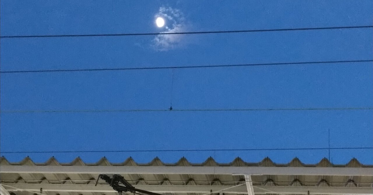 『SNSの哲学：リアルとオンラインのあいだ』戸谷洋志（2023）｜Arai Nami