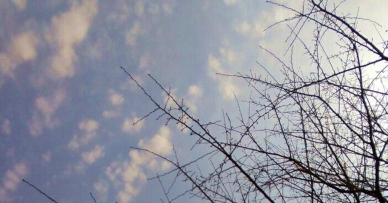 UNWIND&KOMOREBI｜note