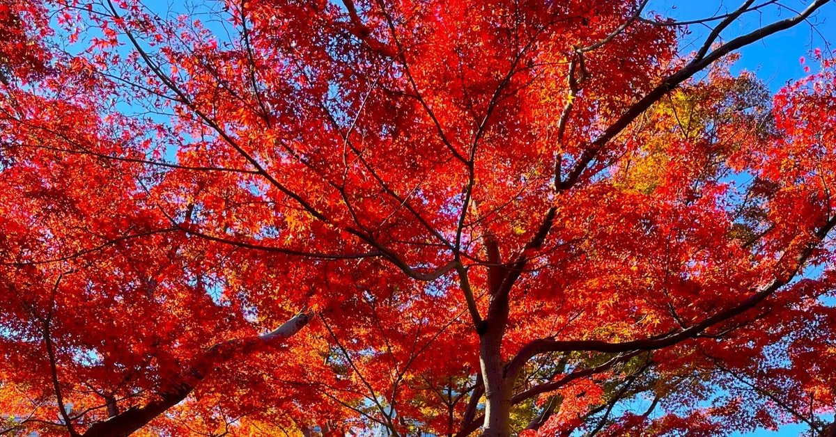 【ポエム】残り香｜ayano_leizei 冷泉あやの