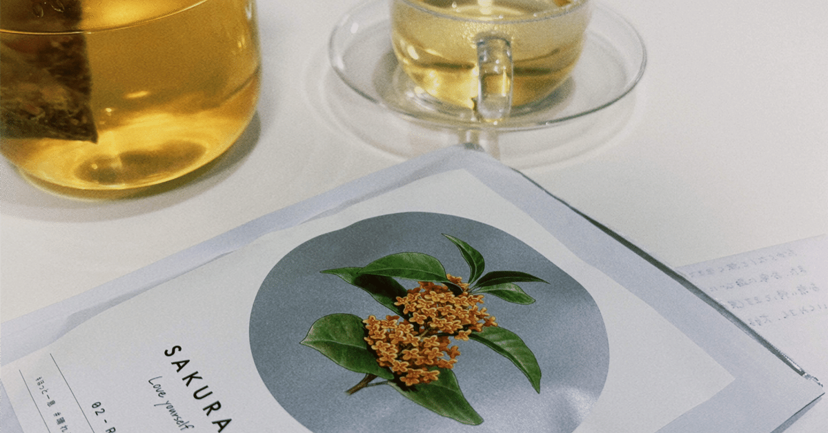 バイオグラフィーを工夫してInstagramプロフィールを強化する方法｜【 School 】 SNS Meister Program