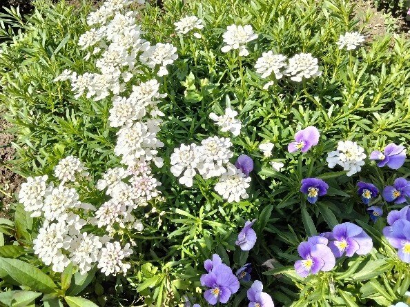 いとしのエリー｜Ryo.t.a.n