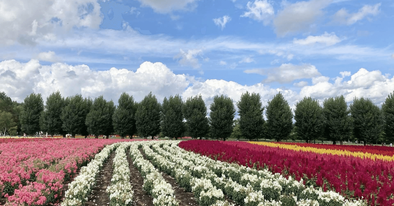 WezTerm no1｜blue06_2022