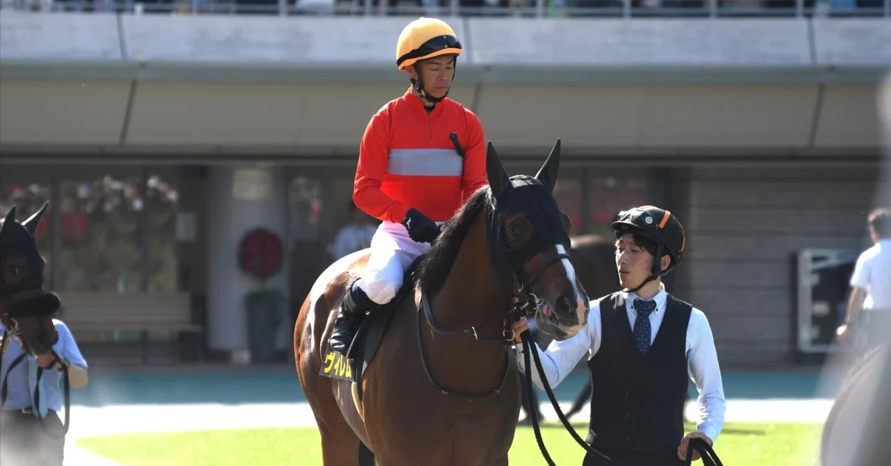 ワラウカド2024募集馬(2023年産)AI馬体診断｜Koji Maeda