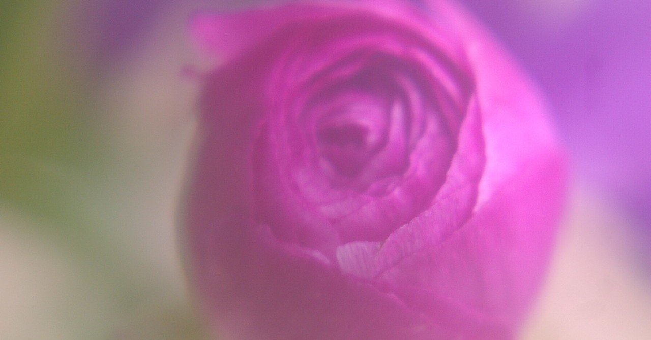 自信を、おもちなさい。。・。・。｜Cosmic Suzu｜note