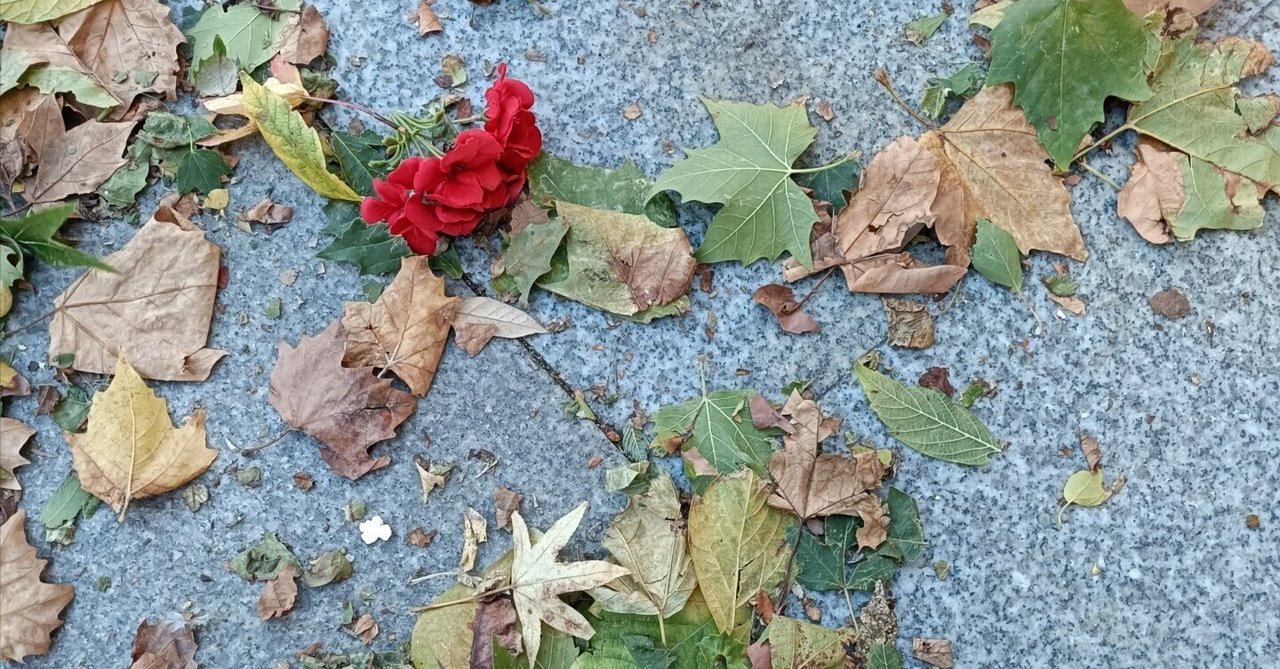 臆病者な自分と向き合う｜梅田 優希/Masaki Umeda