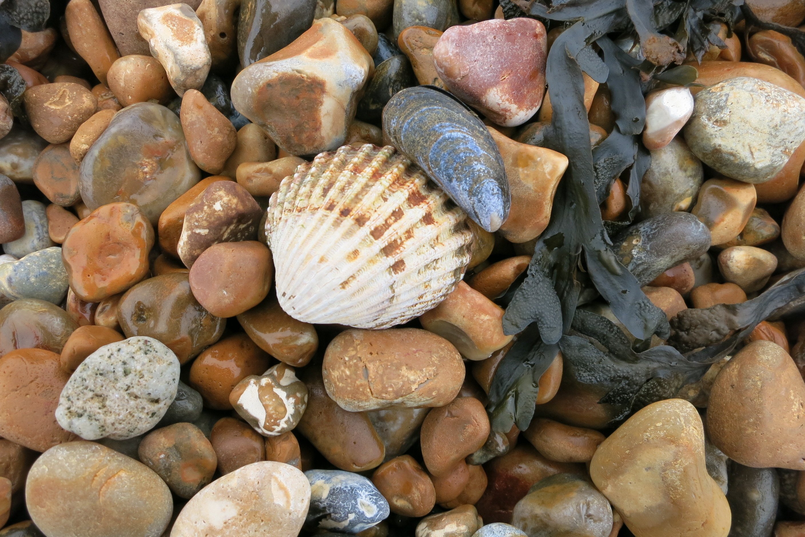 IWAMATSU shinobu｜note