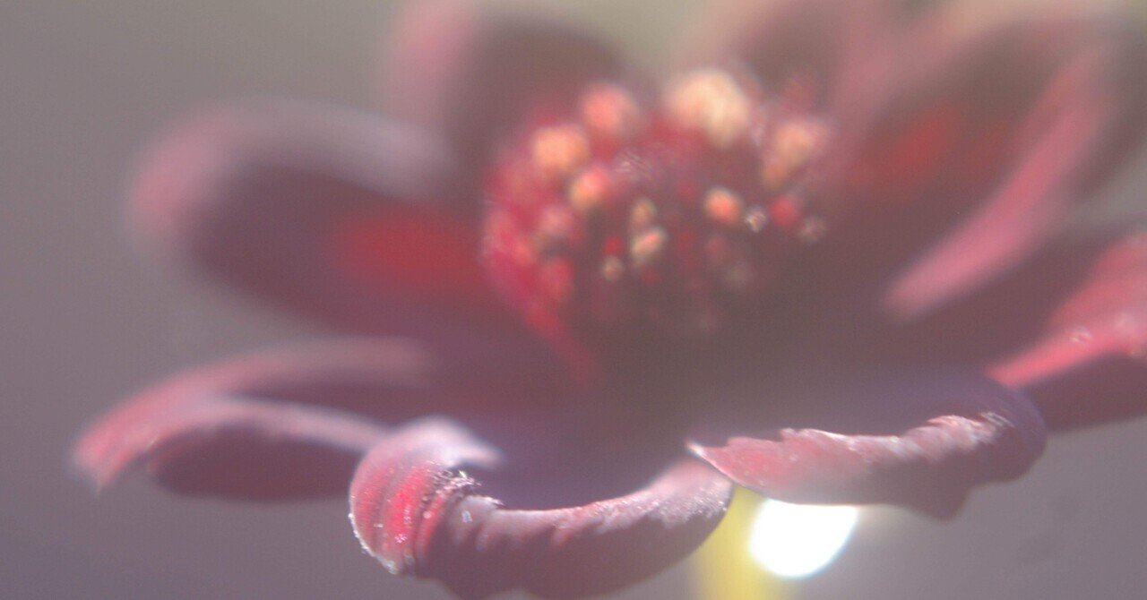 動」が「静」を導きます。・。・。｜Cosmic Suzu