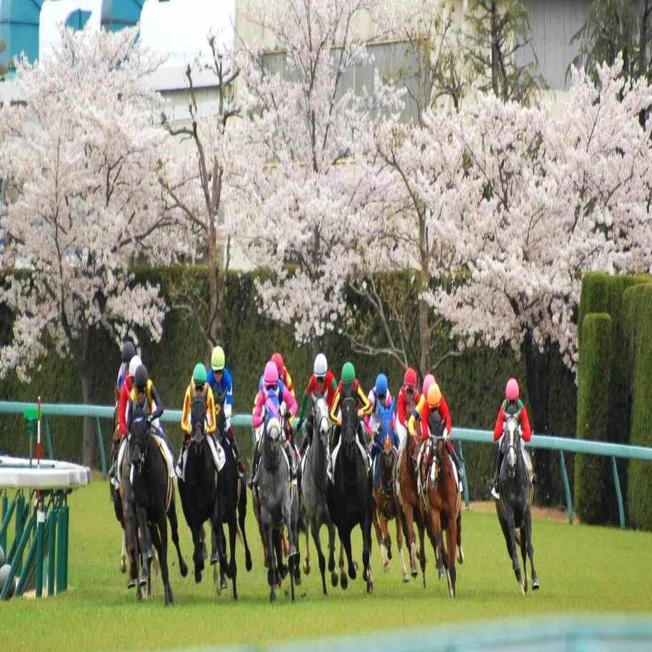 京都サラブレッドクラブ2024募集馬(2023年産)AI馬体診断｜Koji Maeda