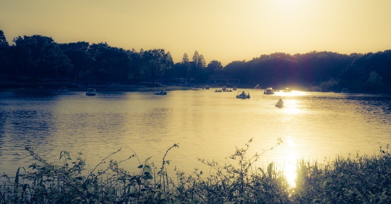 きみが本当は知っていること｜Mika Sudo｜note