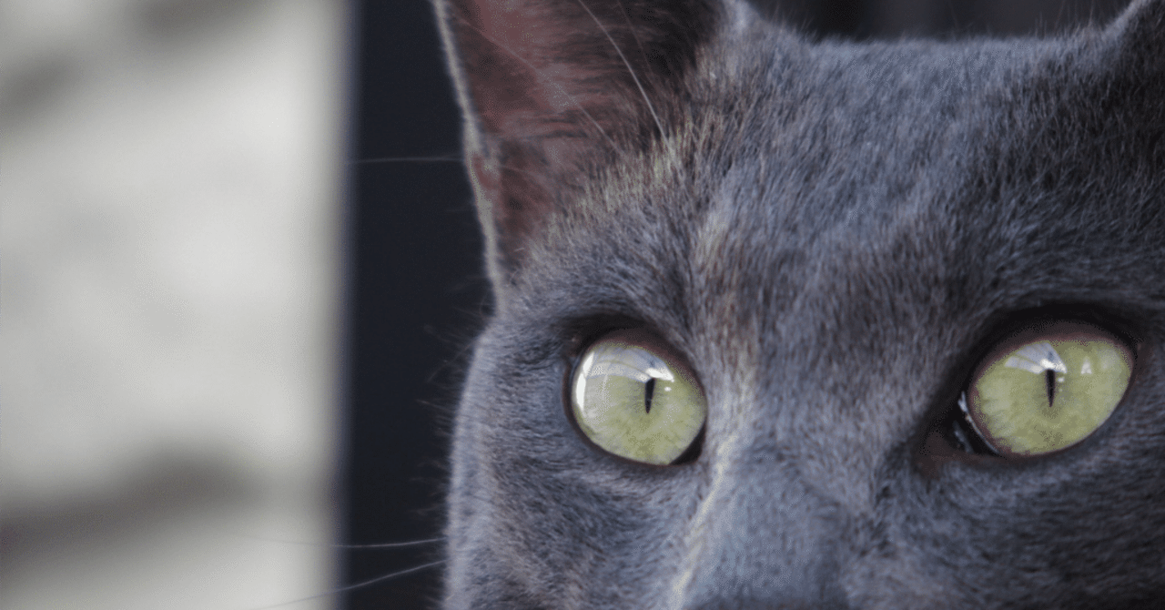 Try hack meのCrack the hashをhashcatで解いてみる｜W.H.M