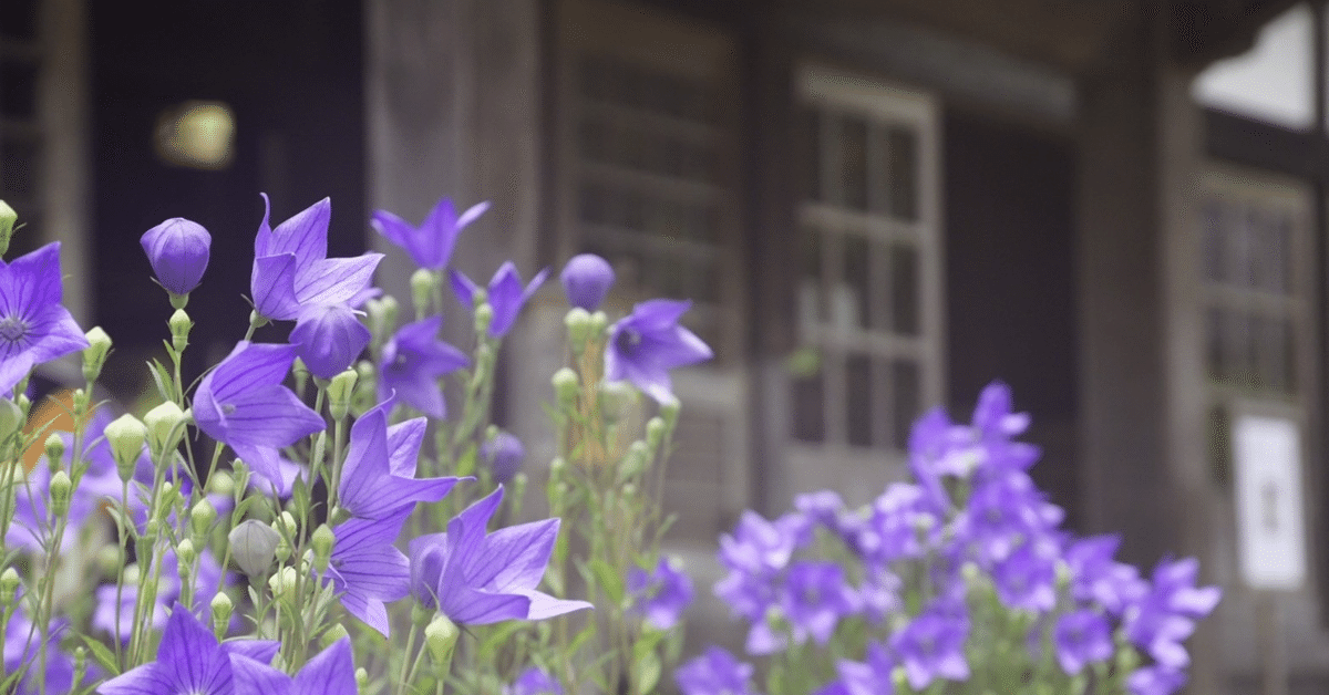 ANRI 【行履】 展 ＠遍照寺 香美町｜KANAL KATO