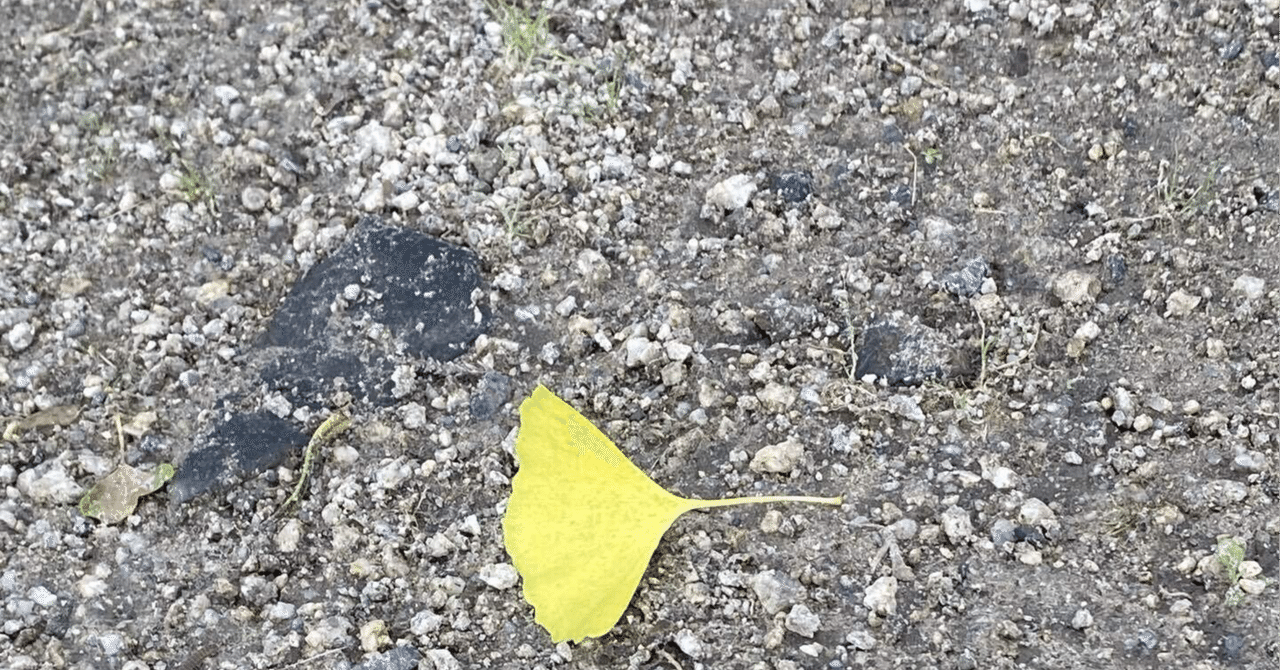 自己紹介｜はじめてのnote｜Kenta.h