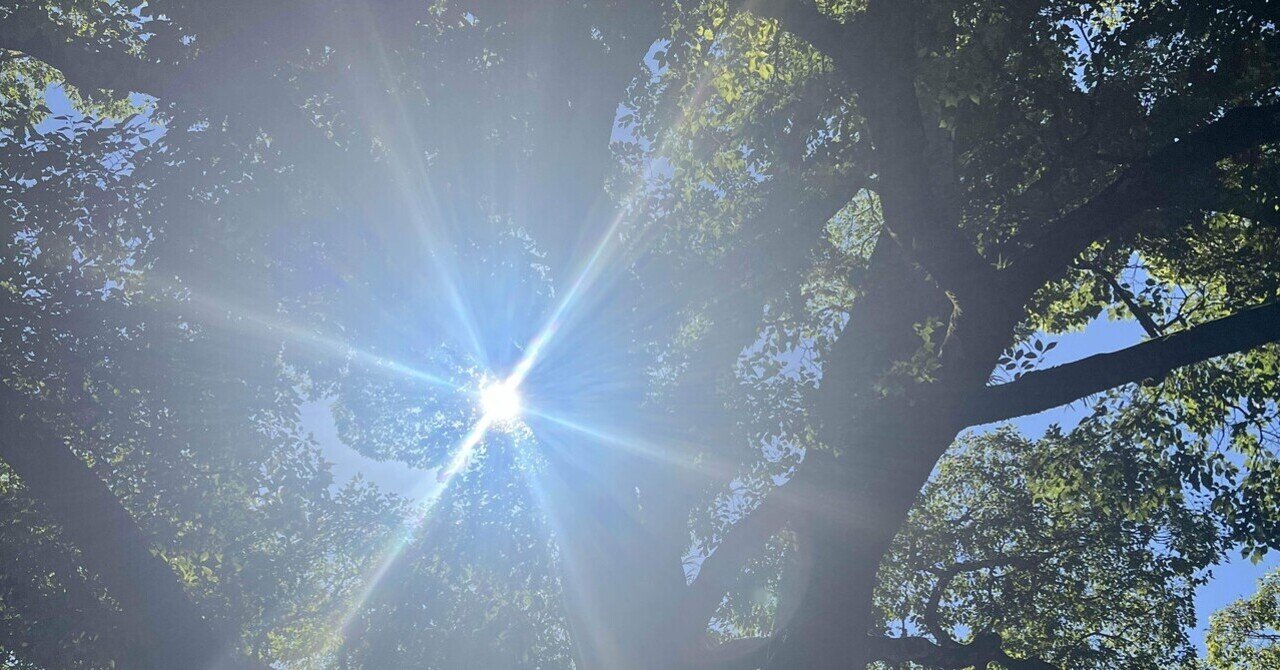 静けさの中へ。・。・。・。｜Cosmic Suzu