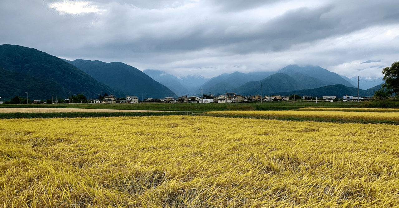 mise 情報｜blue06_2022